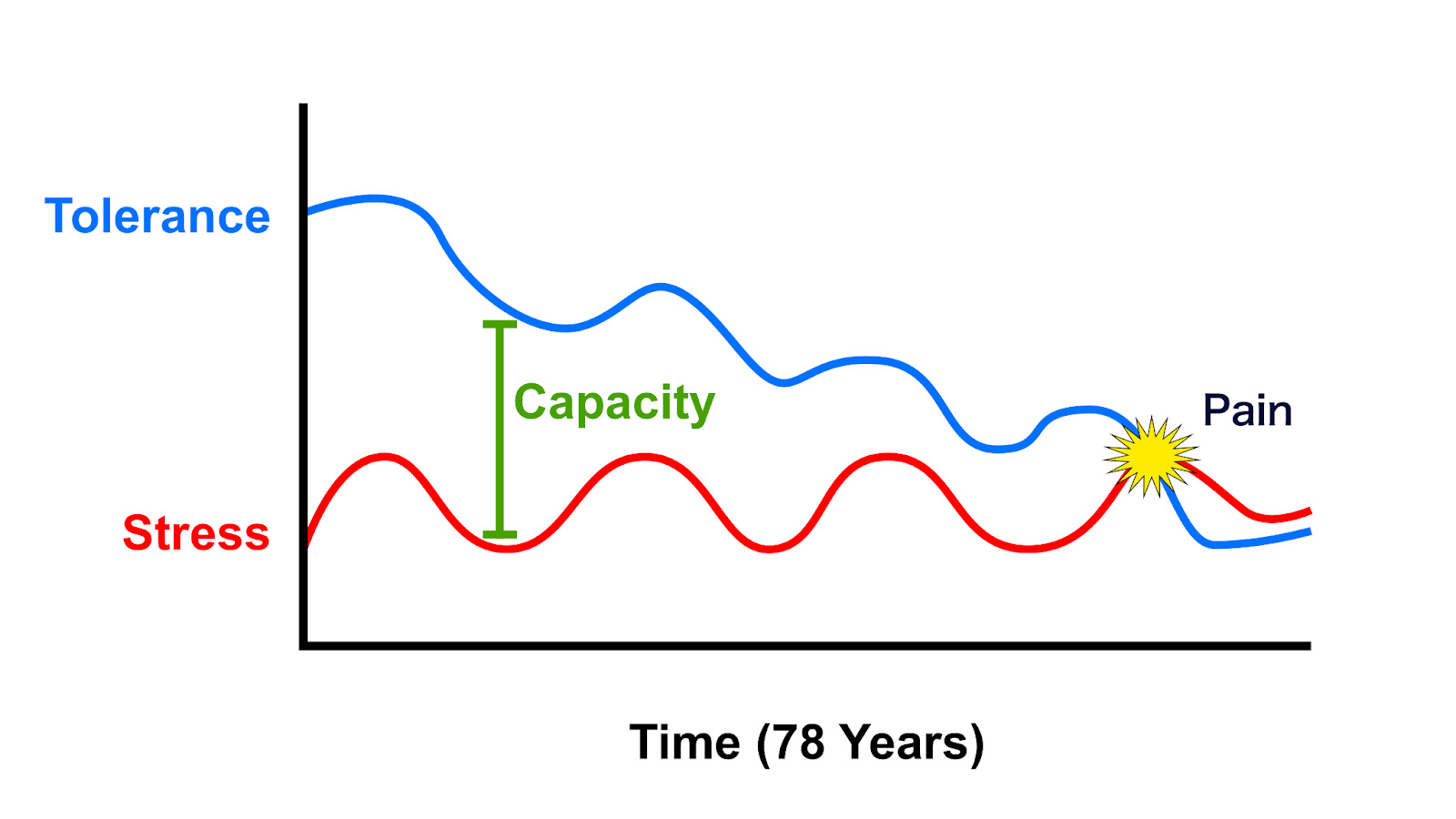 Snippets: Stress Tolerance | Curious Gap
